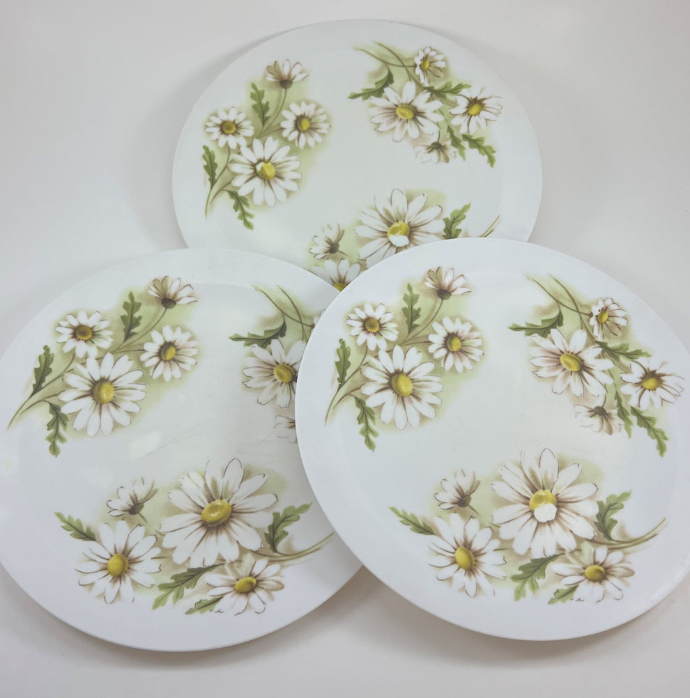 Melamine Daisy Plates, Set of Three, 1960s – The Vintage Kitchen & Garden